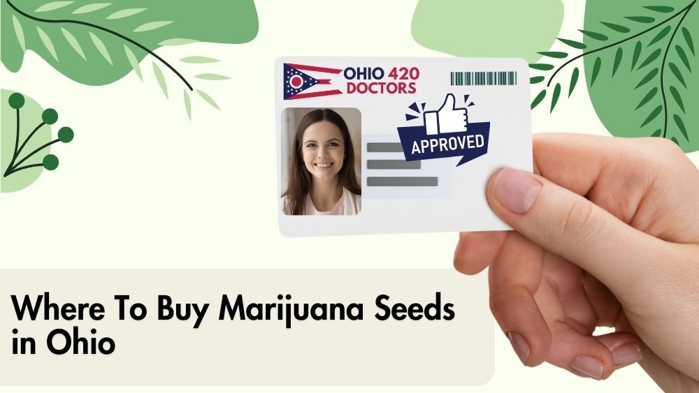 Where To Buy Marijuana Seeds in Ohio